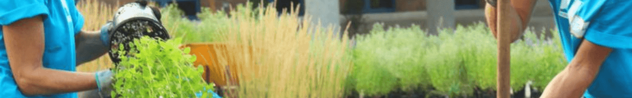 Basic Guide To Professional Liability Insurance for Landscape Architects